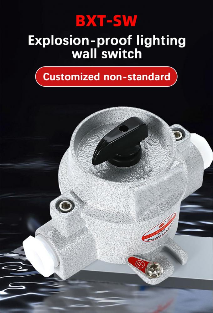 ATEX IECEx Certified SW-10 Explosion Proof Switch 10A 220V/380V in Stock