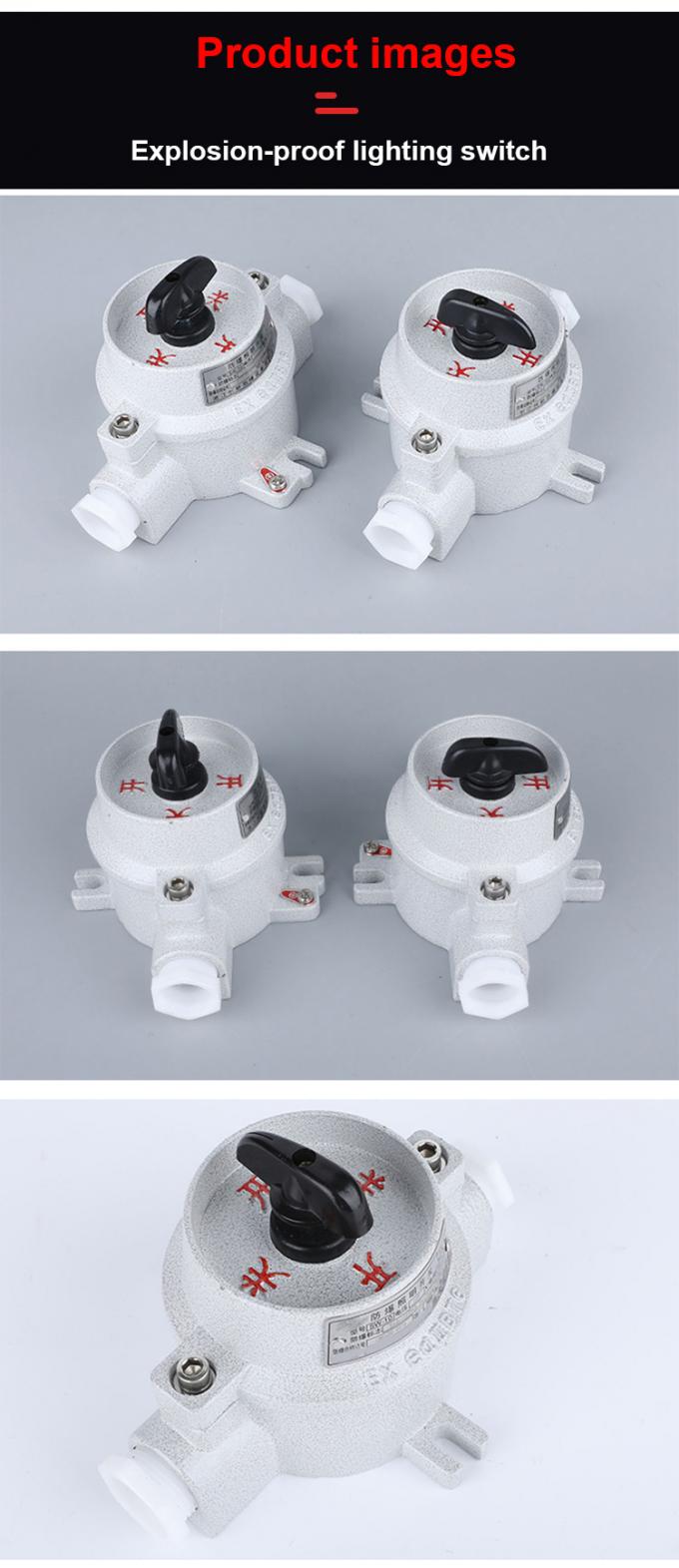 ATEX IECEx Certified SW-10 Explosion Proof Switch 10A 220V/380V in Stock